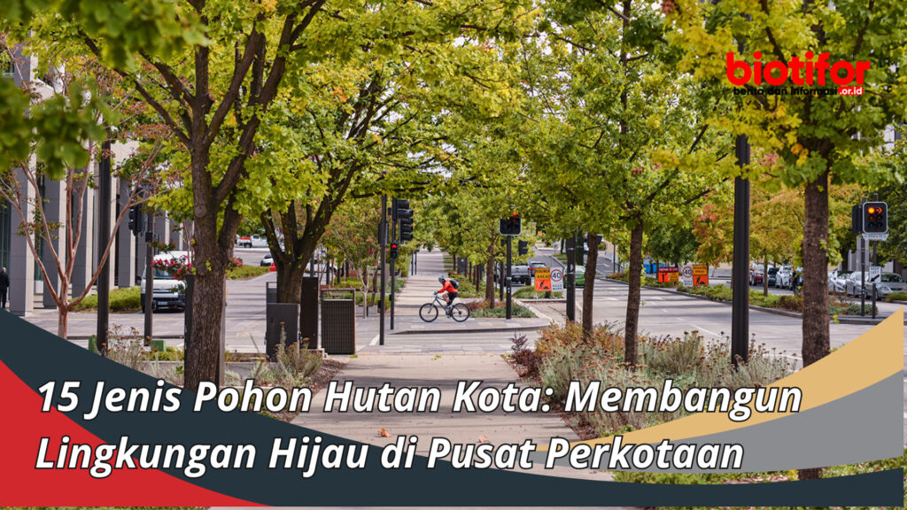 15 Jenis Pohon Hutan Kota: Lingkungan Hijau di Pusat Perkotaan