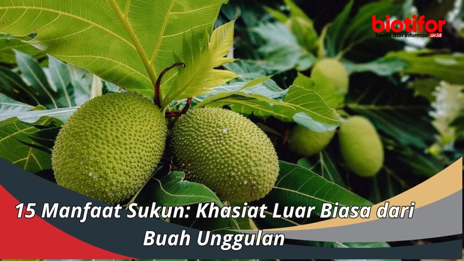 15 Manfaat Sukun: Khasiat Luar Biasa dari Buah Unggulan