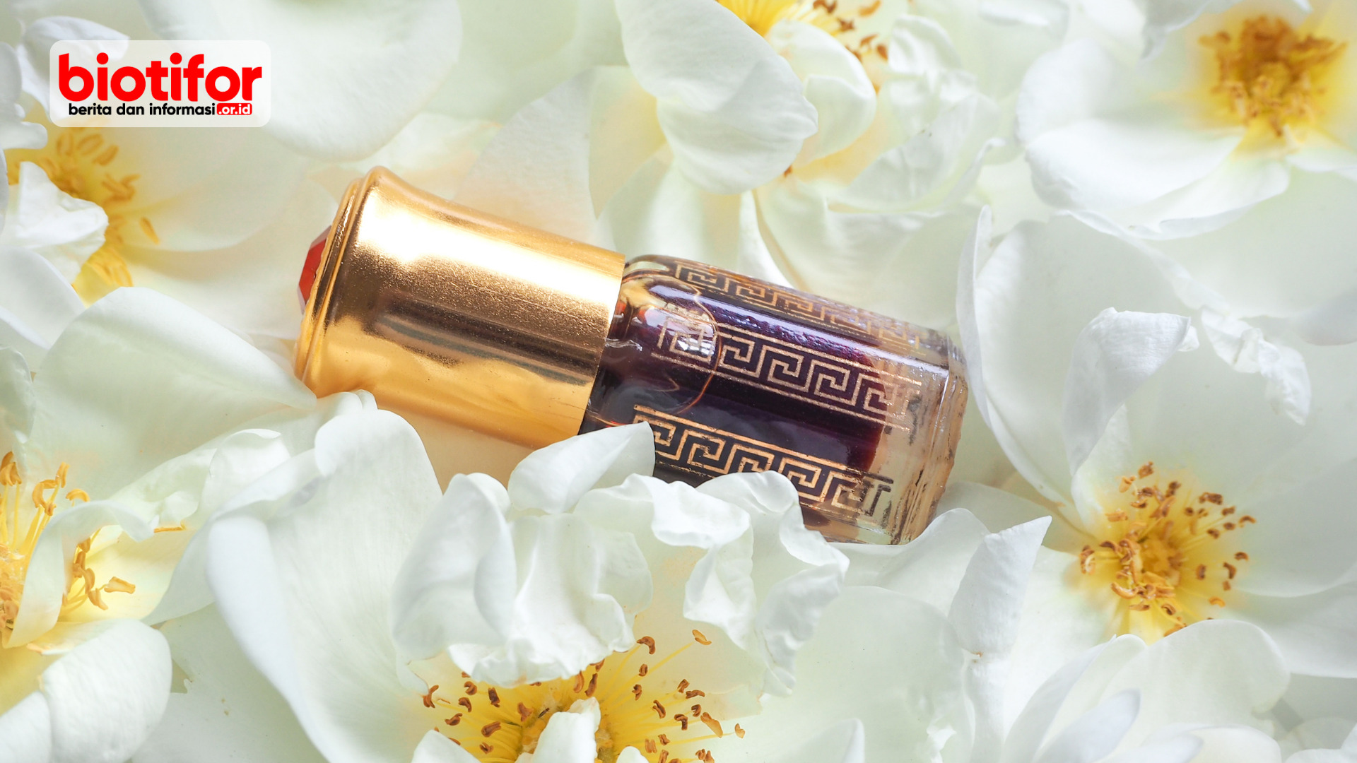 10 Manfaat Bunga Lili untuk Kesehatan dan Cara Mengolahnya - Biotifor