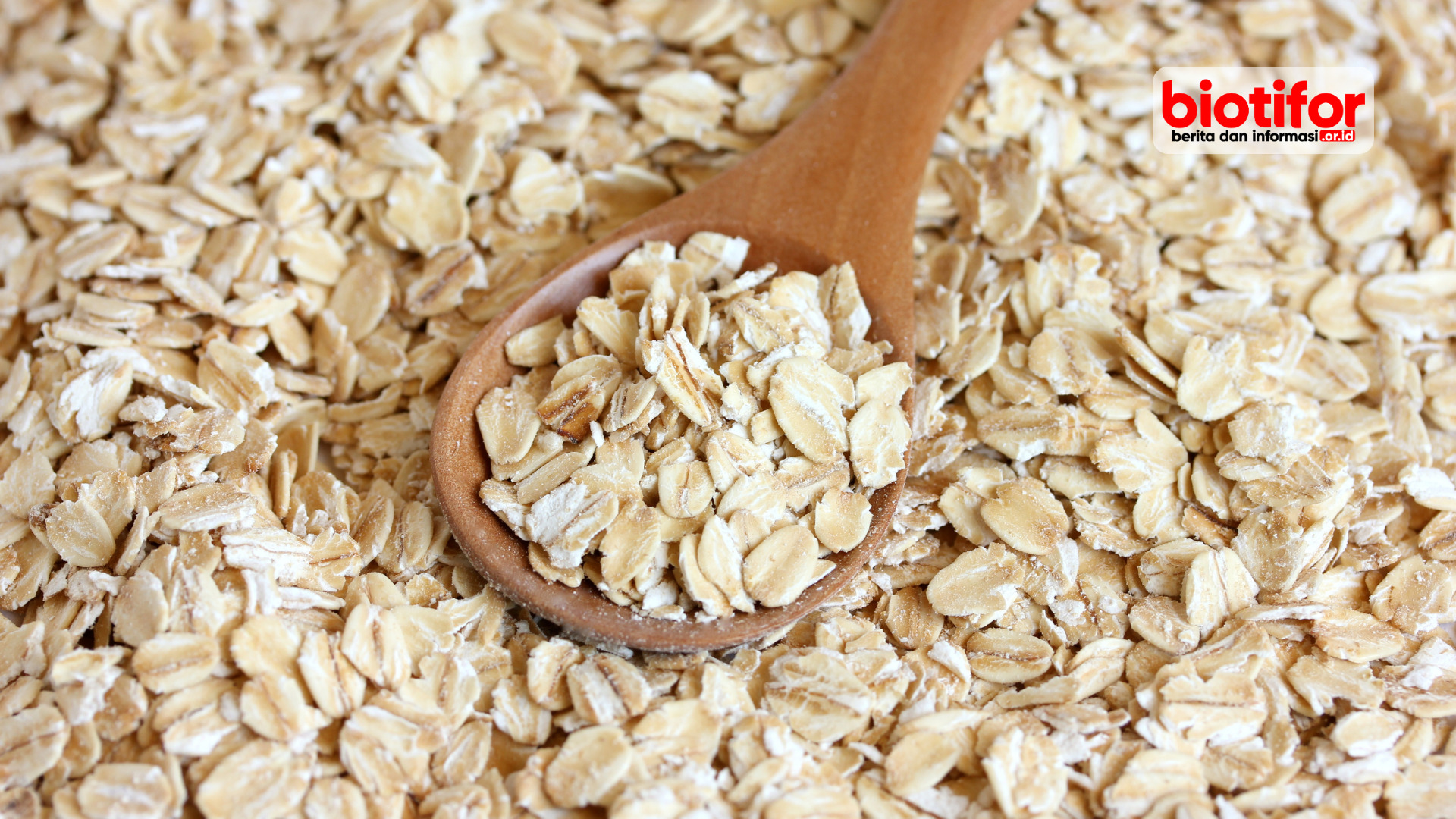 Manfaat Oatmeal untuk Kesehatan dan Cocok untuk Diet - Biotifor