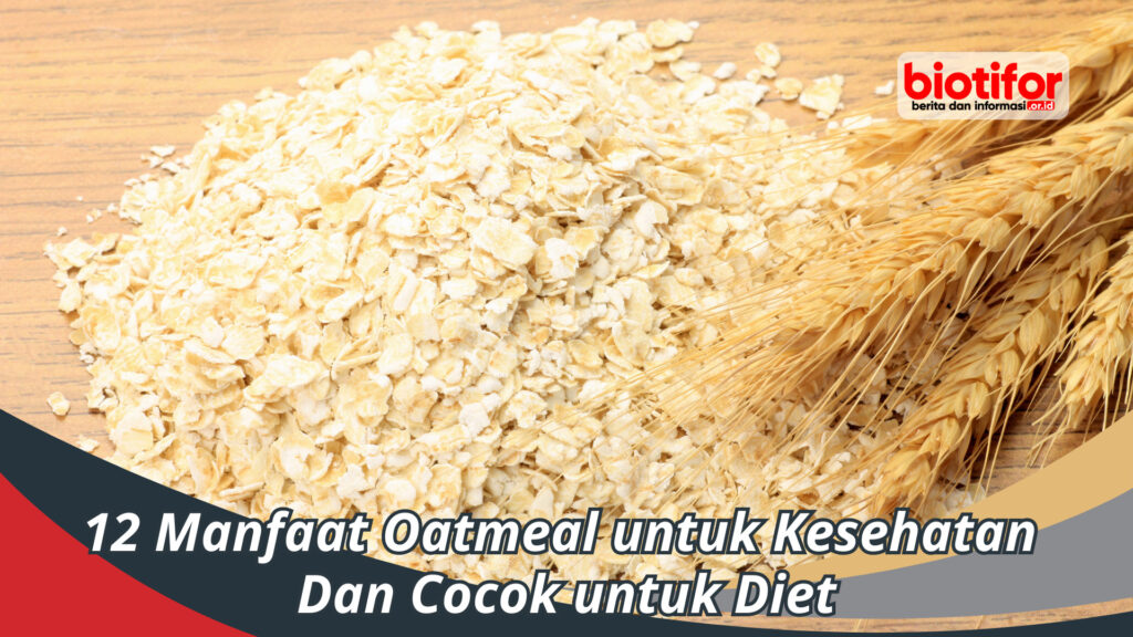 Manfaat Oatmeal untuk Kesehatan dan Cocok untuk Diet - Biotifor