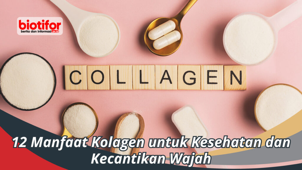 Manfaat Kolagen untuk Kesehatan & Kecantikan Wajah - Biotifor