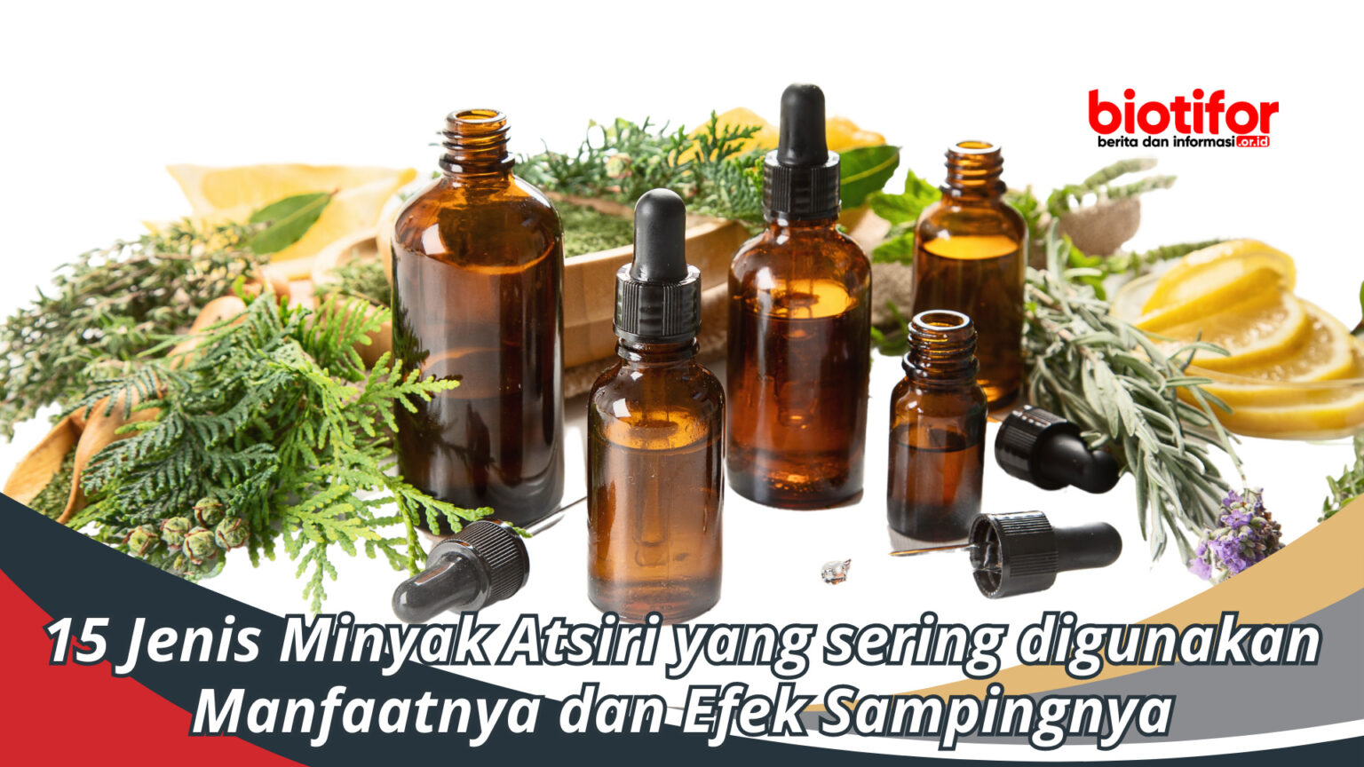 15 Jenis Minyak Atsiri yang sering digunakan, Manfaatnya+Efeknya - Biotifor