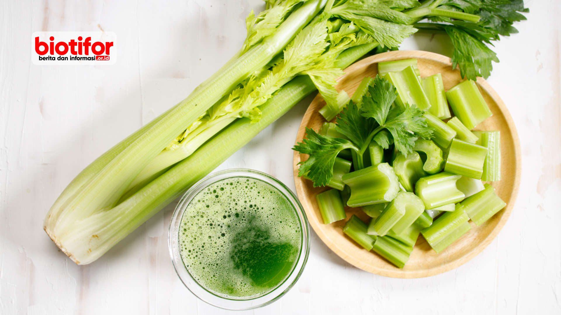 Manfaat Daun Seledri untuk Kesehatan: Cegah Kanker & Ginjal - Biotifor