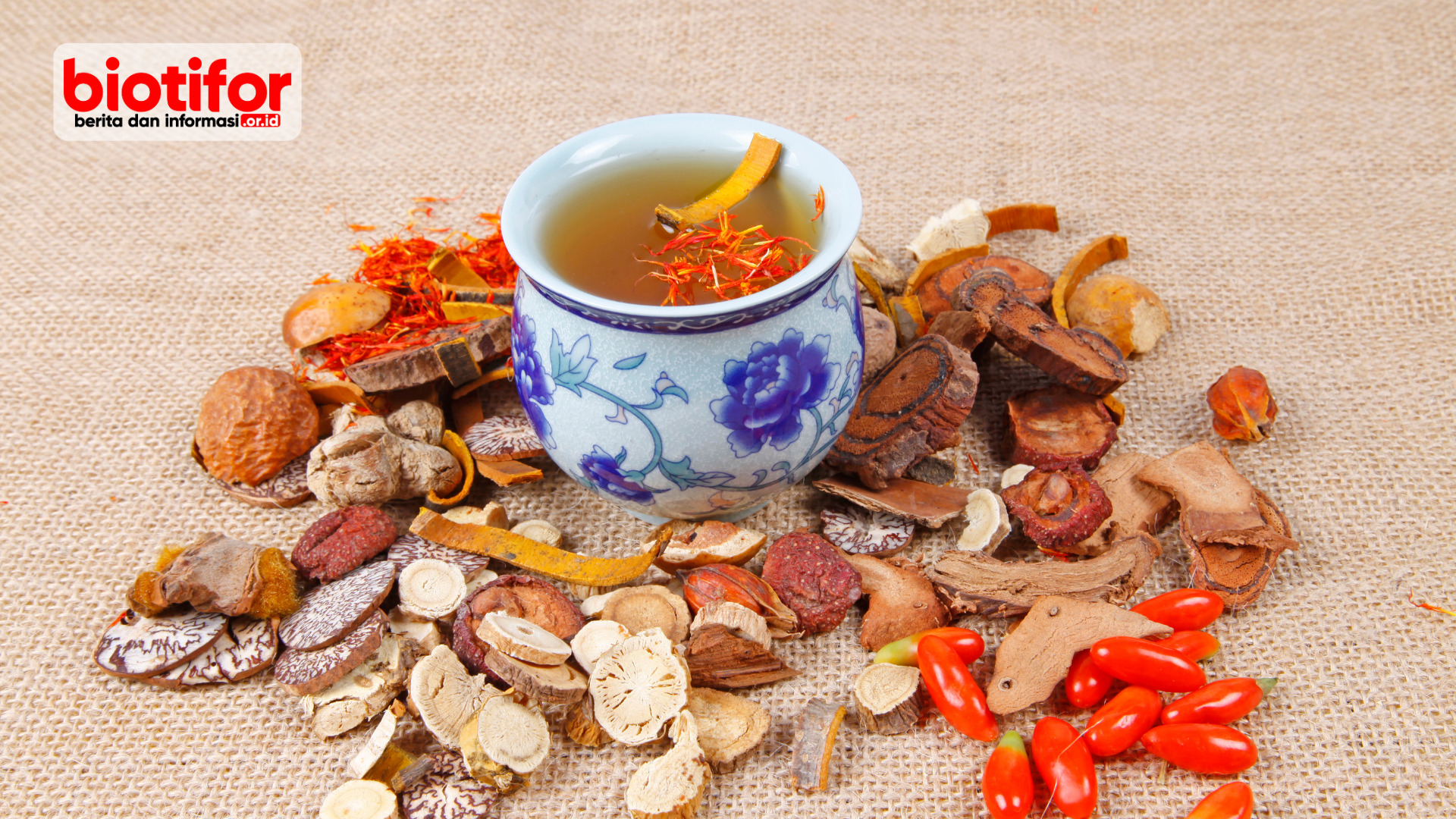 10 Obat Tradisional Penurun Panas & Perawatannya, Sehat Alami - Biotifor