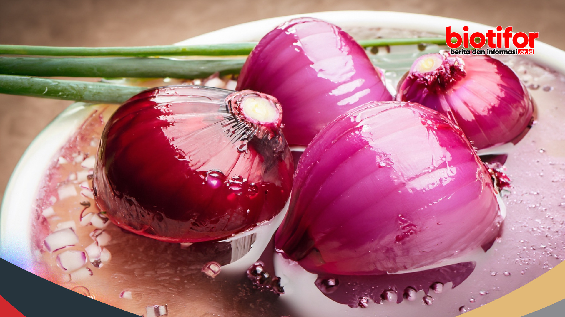 Manfaat Air Rendaman Bawang Merah: Pembangkit Tenaga Gizi - Biotifor