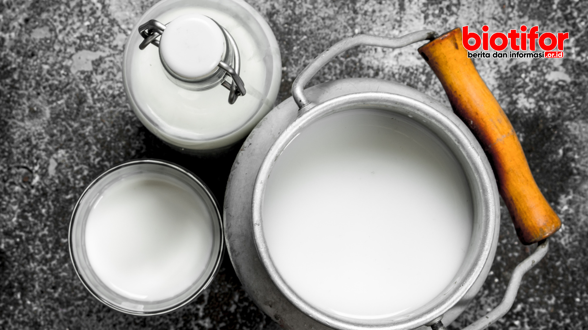 20+ Manfaat Susu Sapi Murni untuk Kesehatan, Turunkan Diabetes - Biotifor