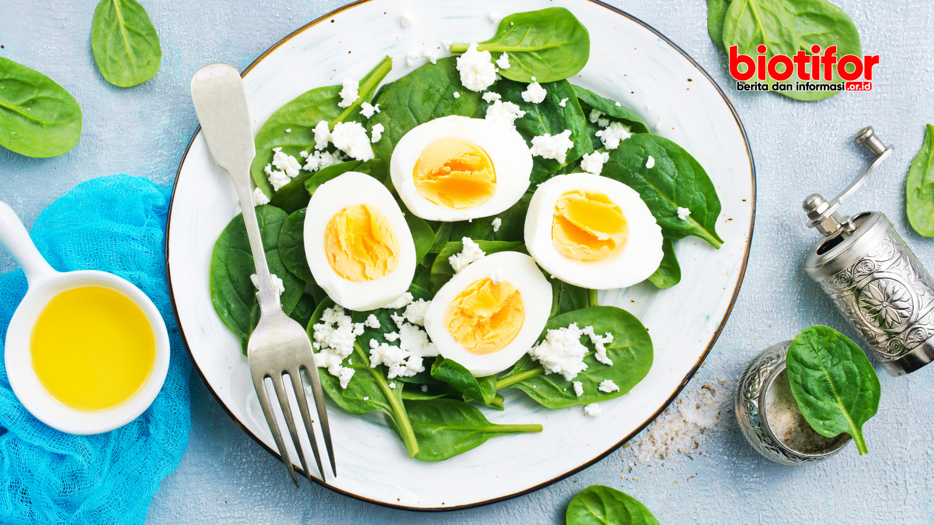 Manfaat Kuning Telur untuk Kesehatan dan Tips Mengkonsumsinya - Biotifor