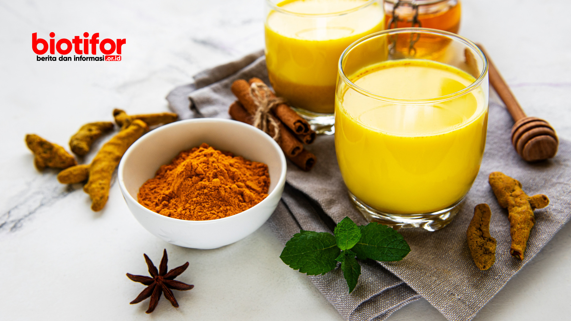 Tanaman Obat Keluarga (TOGA) beragam Manfaat & Khasiatnya - Biotifor