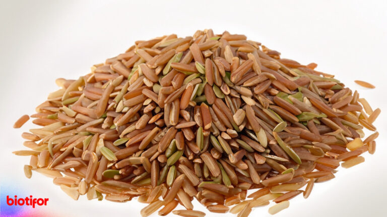 Manfaat Beras Merah: Kesehatan dan Kecantikan Alami - Biotifor