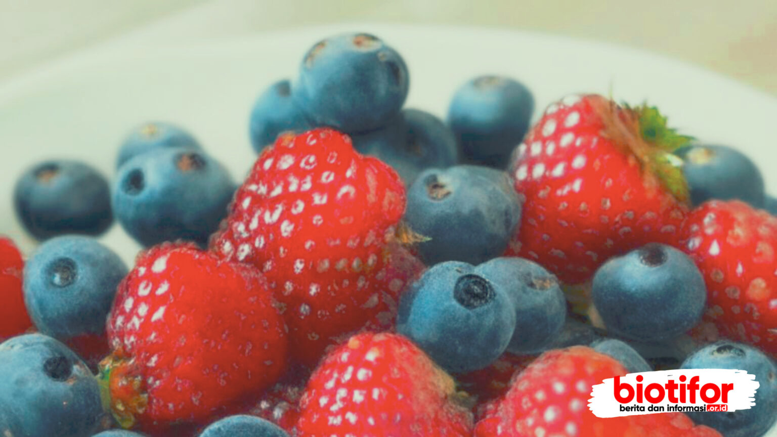 Jenis Dan Contoh Buah Berry : Kaya Akan Nutrisi - Biotifor