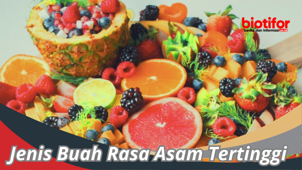 Jenis Buah Rasa Asam Tertinggi : Sensasi Rasa Maksimal