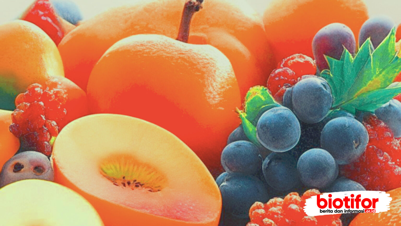 Jenis Buah Termanis Di Dunia: Manisnya Alam Yang Menggoda