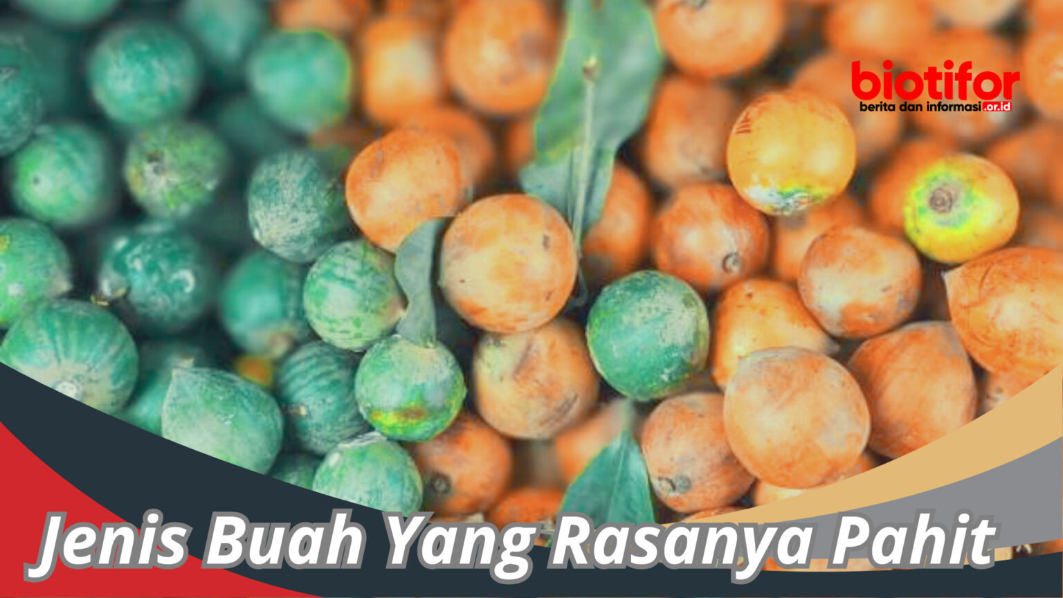 Jenis Buah Yang Rasanya Pahit Kelezatan Dan Manfaatnya Biotifor