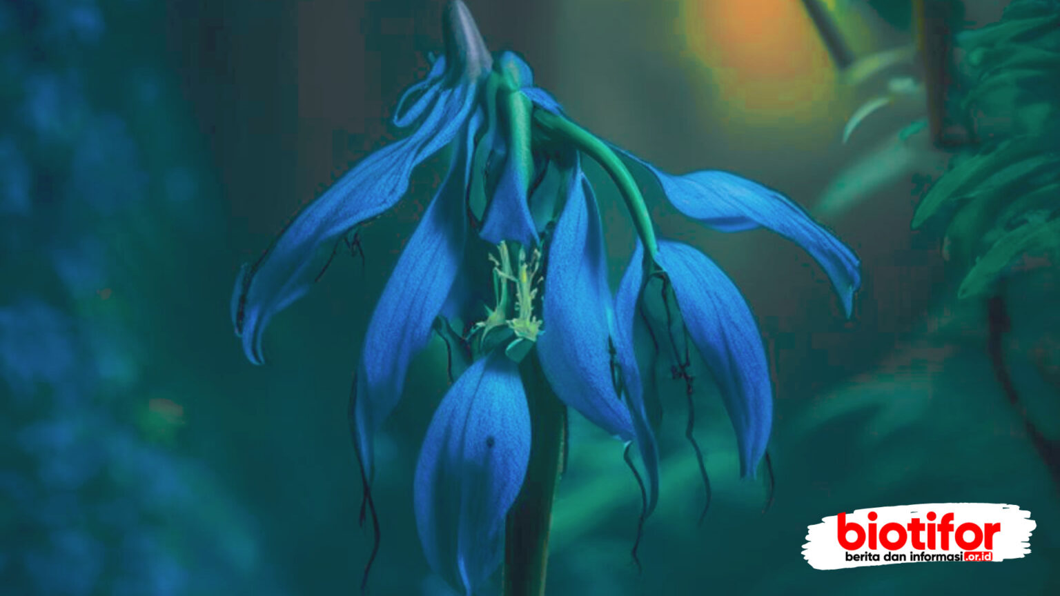 Bunga Delphinium: Kecantikan Dan Keanggunan Di Taman