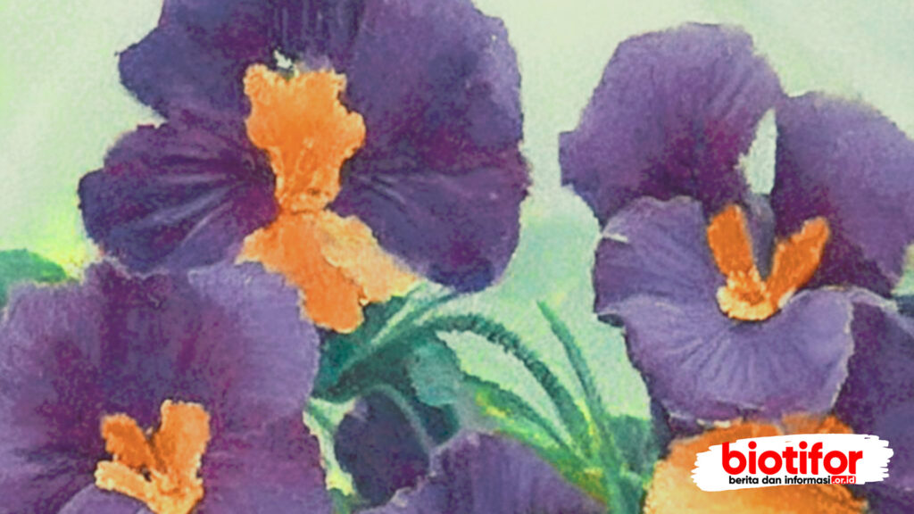 Bunga Pansy: Warna-Warni Keindahan Yang Menawan