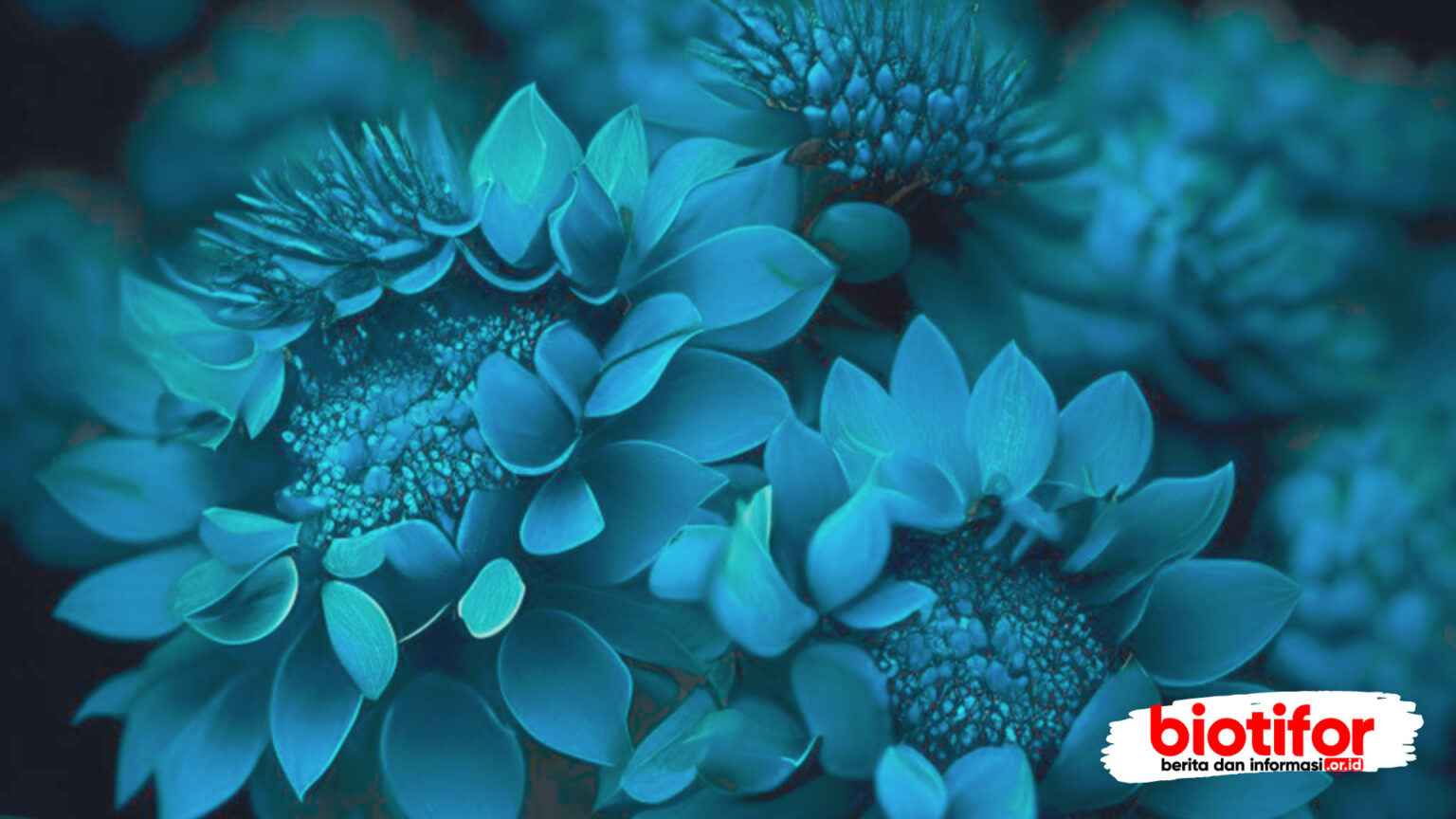 Jenis Bunga Yang Berwarna Biru: Keindahan Memikat Hati