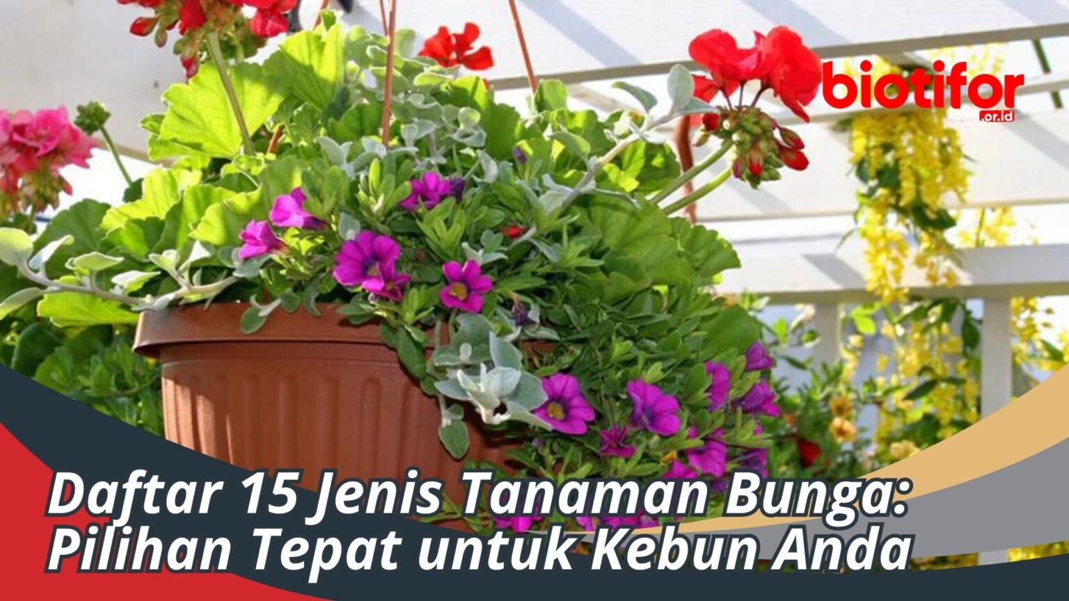 Jenis Tanaman Perdu: Pilihan Terbaik untuk Taman Anda - Biotifor