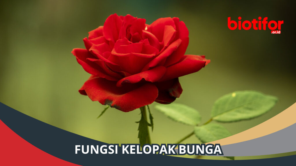 Fungsi Kelopak Bunga: Berperan Penting di Kehidupan Tumbuhan - Biotifor