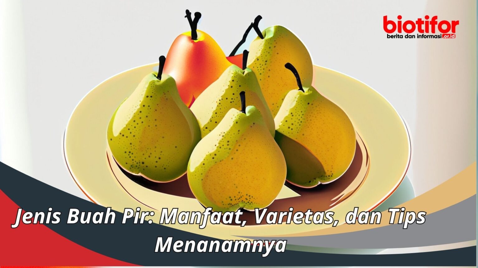 Jenis Buah Pir: Manfaat, Varietas, dan Tips Menanamnya