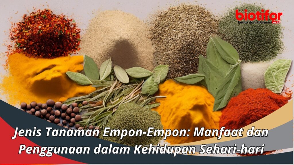 Jenis Tanaman Empon-Empon: Manfaat dan Penggunaan dalam Kehidupan Sehari-hari