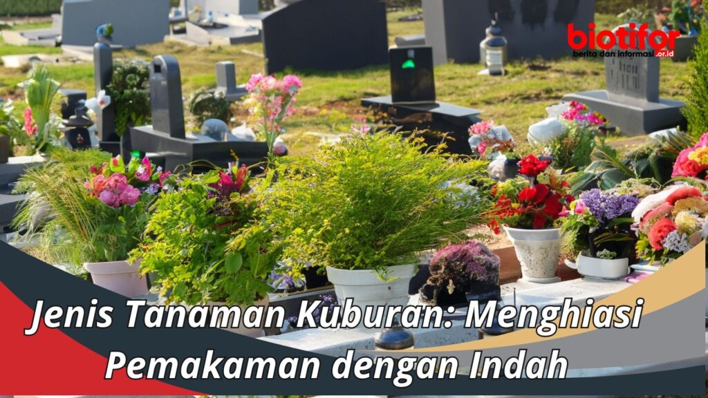 Jenis Tanaman Kuburan: Menghiasi Pemakaman dengan Indah - Biotifor