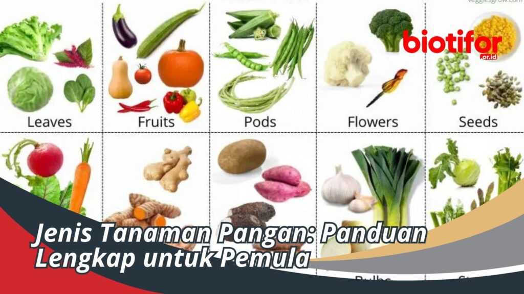 Jenis Tanaman Pangan: Panduan Lengkap untuk Pemula