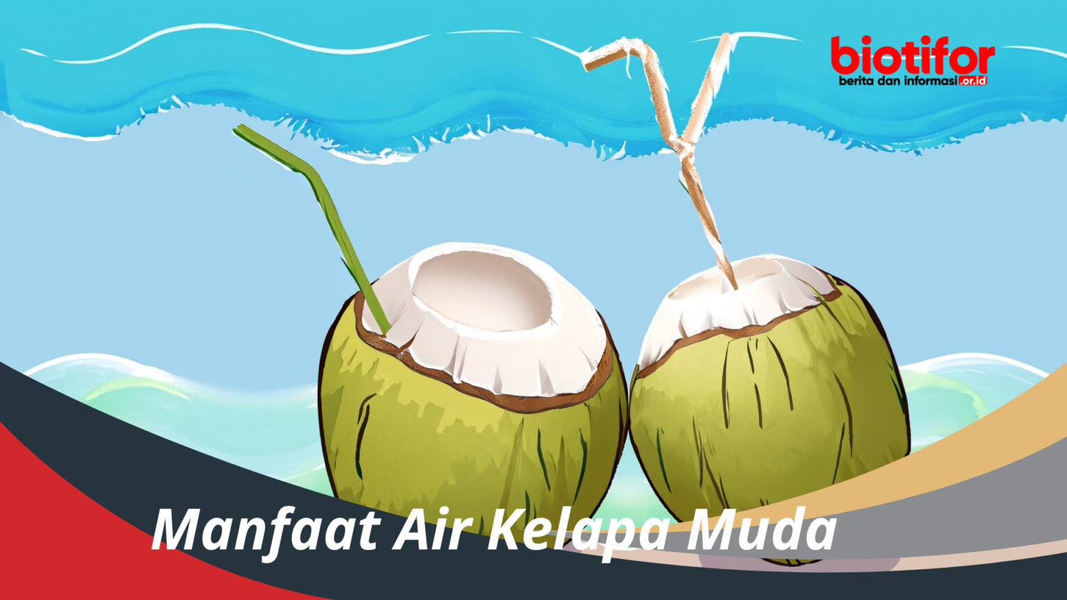 Manfaat Air Kelapa Muda: Kesehatan dan Kecantikan Alami - Biotifor