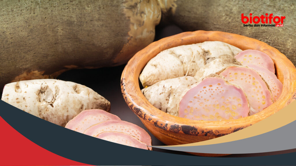 Manfaat Bengkoang: Mengungkap Khasiat & Keajaiban Buah Ajaib - Biotifor