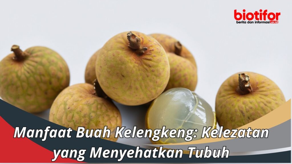 Manfaat Buah Kelengkeng: Kelezatan yang Menyehatkan Tubuh