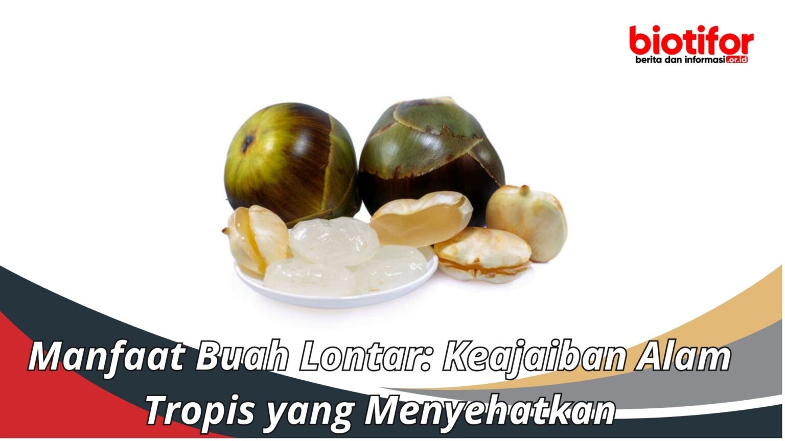 Manfaat Buah Lontar: Keajaiban Alam Tropis yang Menyehatkan