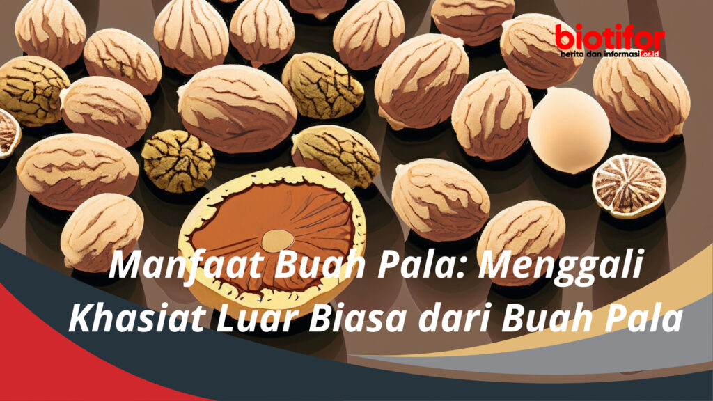 Manfaat Buah Pala: Menggali Khasiat Luar Biasa dari Buah Pala - Biotifor
