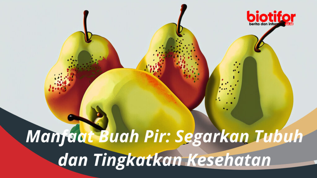 Manfaat Buah Pir: Segarkan Tubuh dan Tingkatkan Kesehatan - Biotifor