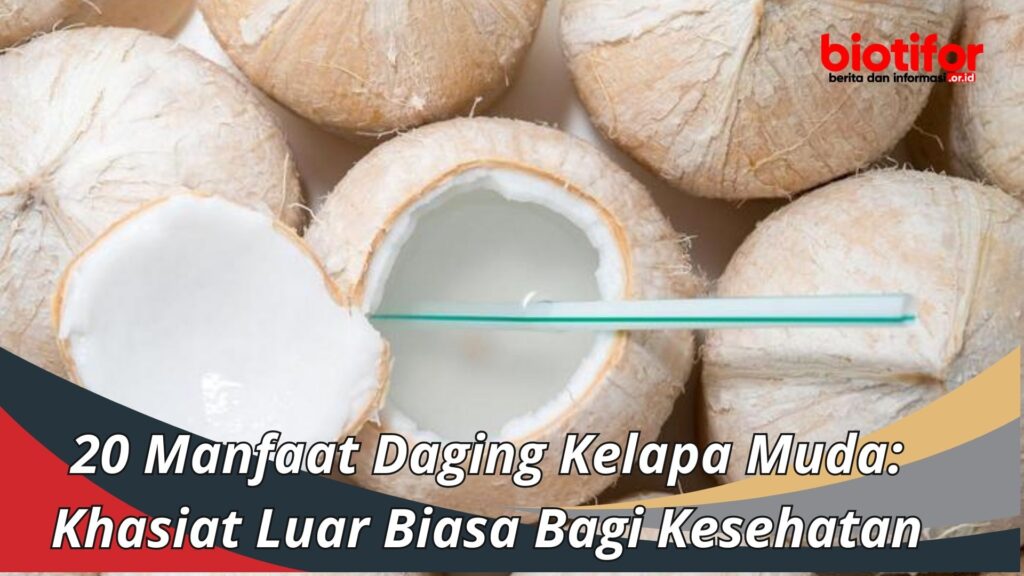 Manfaat Daging Kelapa Muda: Khasiat Luar Biasa Bagi Kesehatan