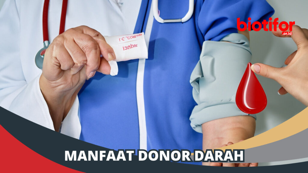 Manfaat Donor Darah Bagi Kesehatan - Biotifor