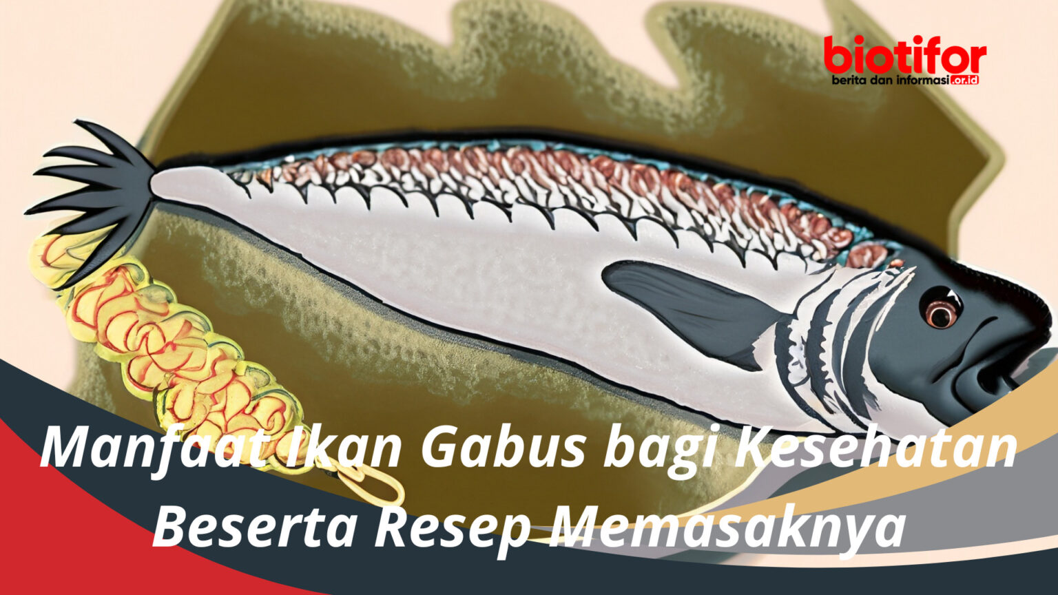 Manfaat Ikan Gabus bagi Kesehatan Beserta Resep Memasaknya - Biotifor