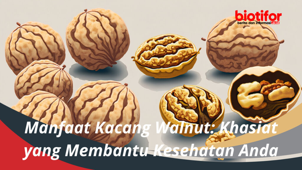 Manfaat Kacang Koro untuk Kesehatan - Biotifor Manfaat Kacang Koro untuk Kesehatan - Biotifor