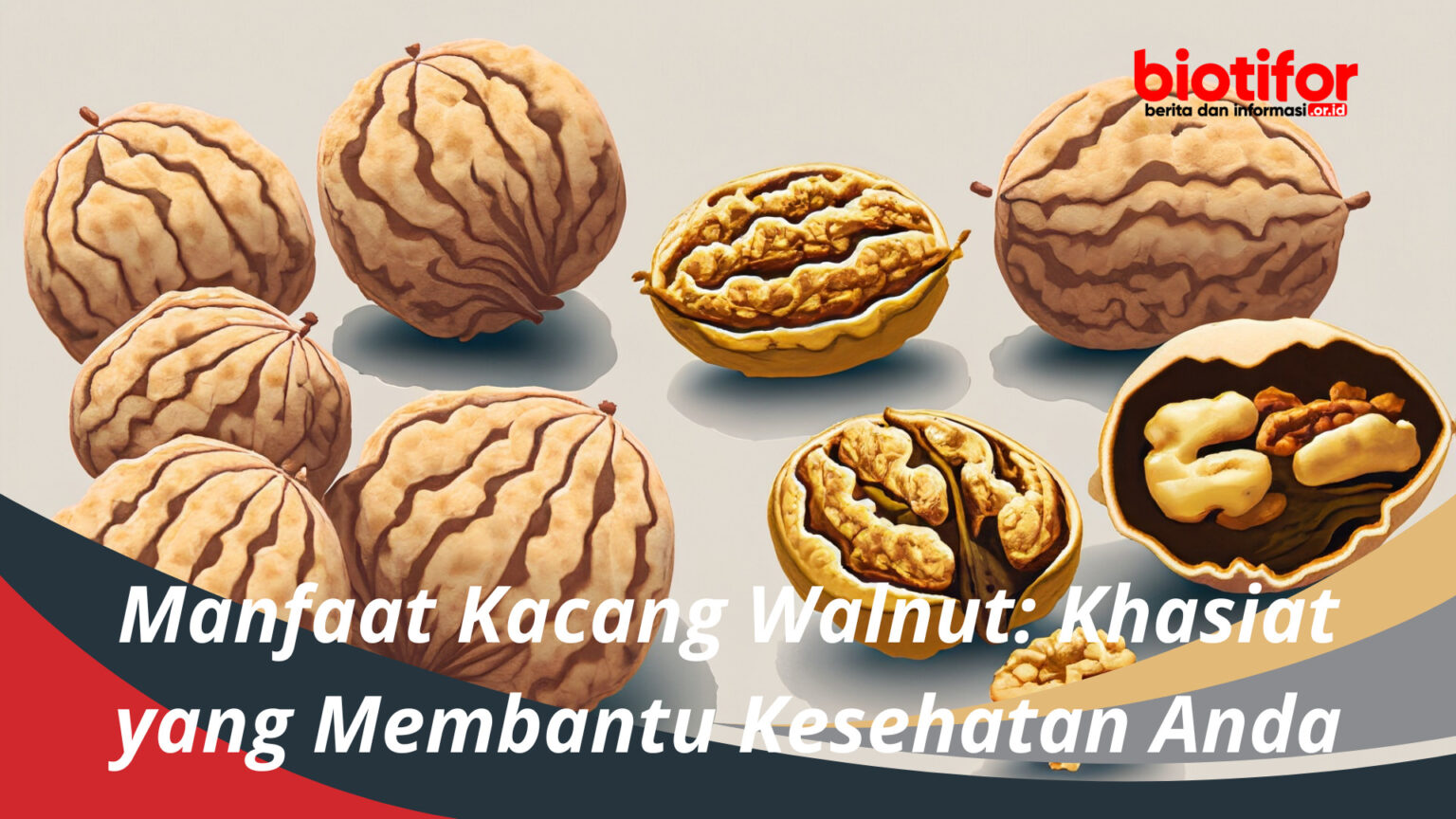 Manfaat Kacang Walnut: Khasiat yang Membantu Kesehatan Anda - Biotifor