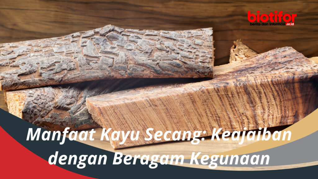 Manfaat Angkak: Keajaiban Kesehatan yang Tersembunyi