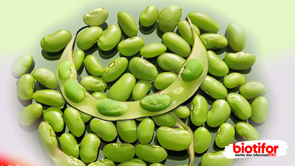 Manfaat Kacang Edamame: Meningkatkan Kesehatan dengan Gizi - Biotifor