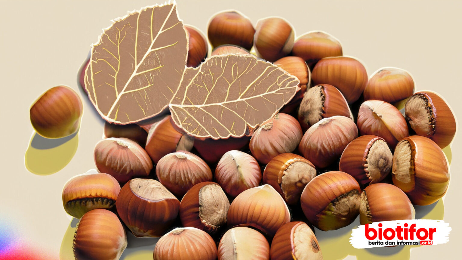 Manfaat Kemiri: Makanan dan Perawatan Kulit Alami - Biotifor