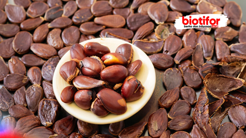 Manfaat Biji Mahoni bagi Kesehatan yang Sering Diabaikan - Biotifor