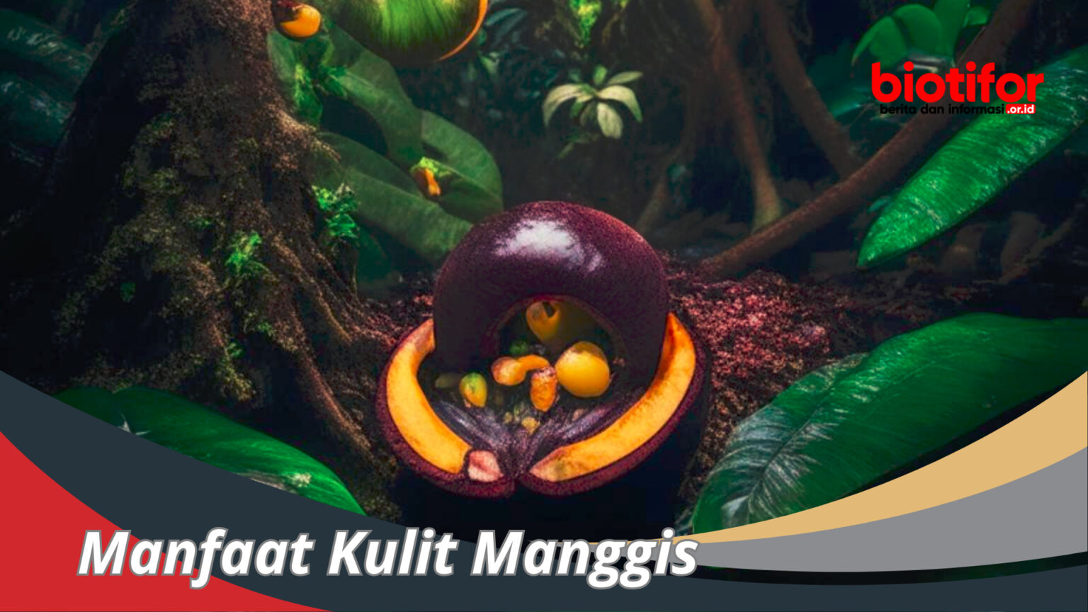 Manfaat Kulit Manggis Yang Sangat Menakjubkan