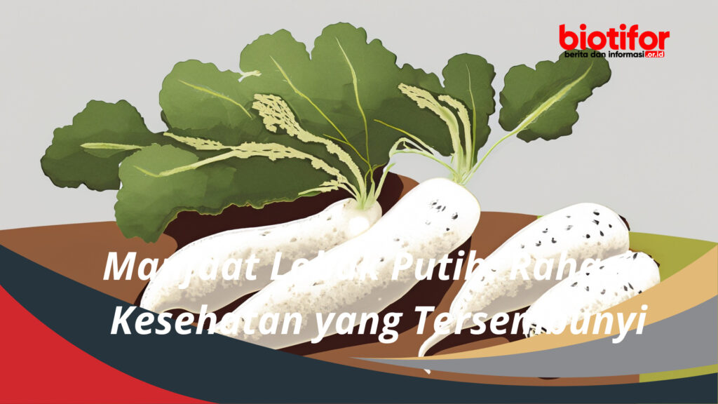 Manfaat Lobak Putih: Rahasia Kesehatan yang Tersembunyi - Biotifor