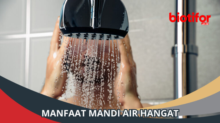Manfaat Mandi Air Hangat: Memanjakan Tubuh dan Rohani - Biotifor