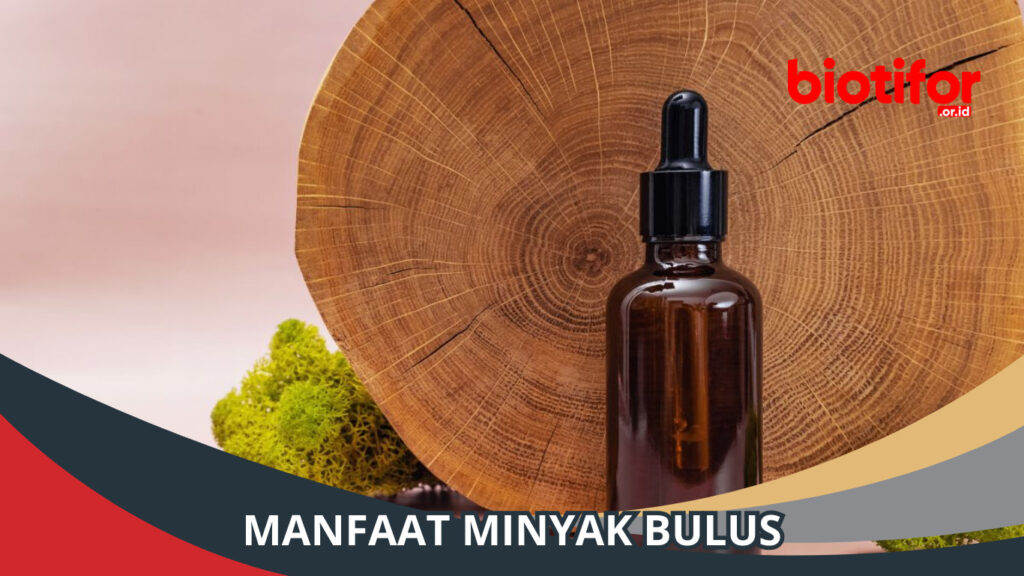 Manfaat Minyak Bulus: Khasiat untuk Kecantikan dan Kesehatan - Biotifor