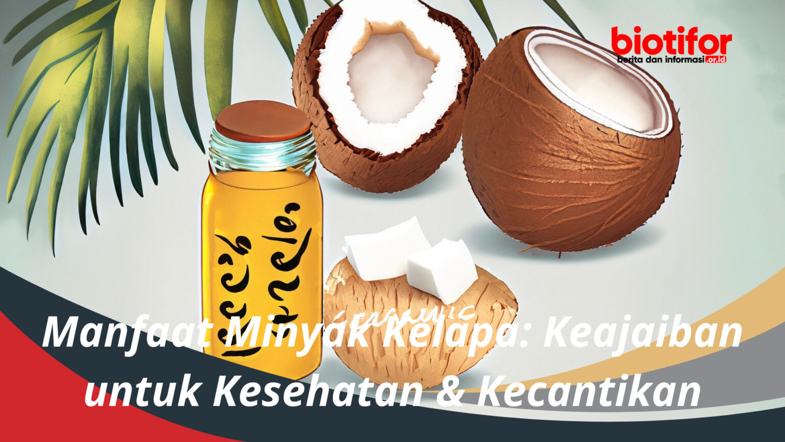 Manfaat Minyak Kelapa: Keajaiban untuk Kesehatan & Kecantikan - Biotifor