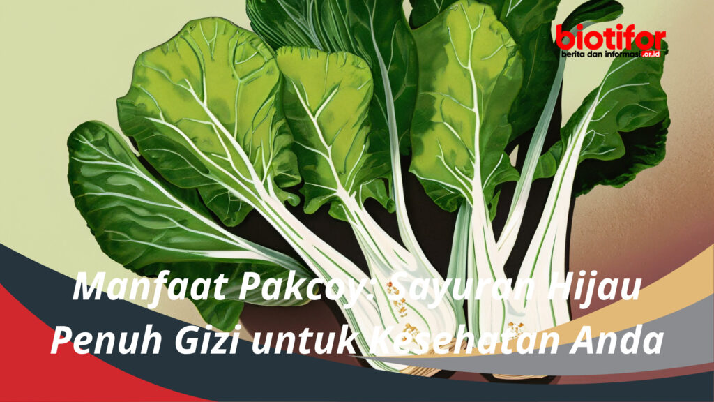 Manfaat Pakcoy: Sayuran Hijau Penuh Gizi untuk Kesehatan Anda - Biotifor