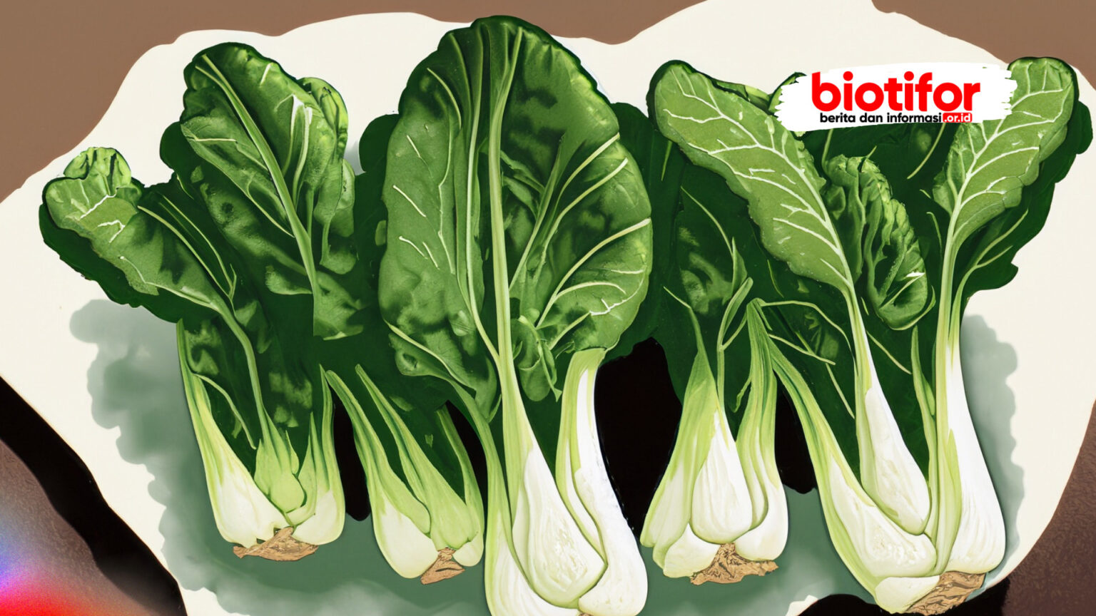 Manfaat Pakcoy: Sayuran Hijau Penuh Gizi untuk Kesehatan Anda - Biotifor