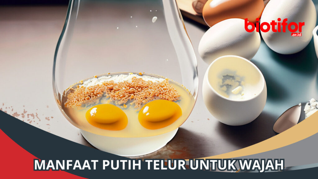 Manfaat Putih Telur untuk Wajah: Rahasia Kulit Cantik Alami - Biotifor